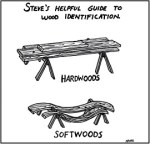 Some Basics About Wood – Sculptural Woodwork by Chris Wong